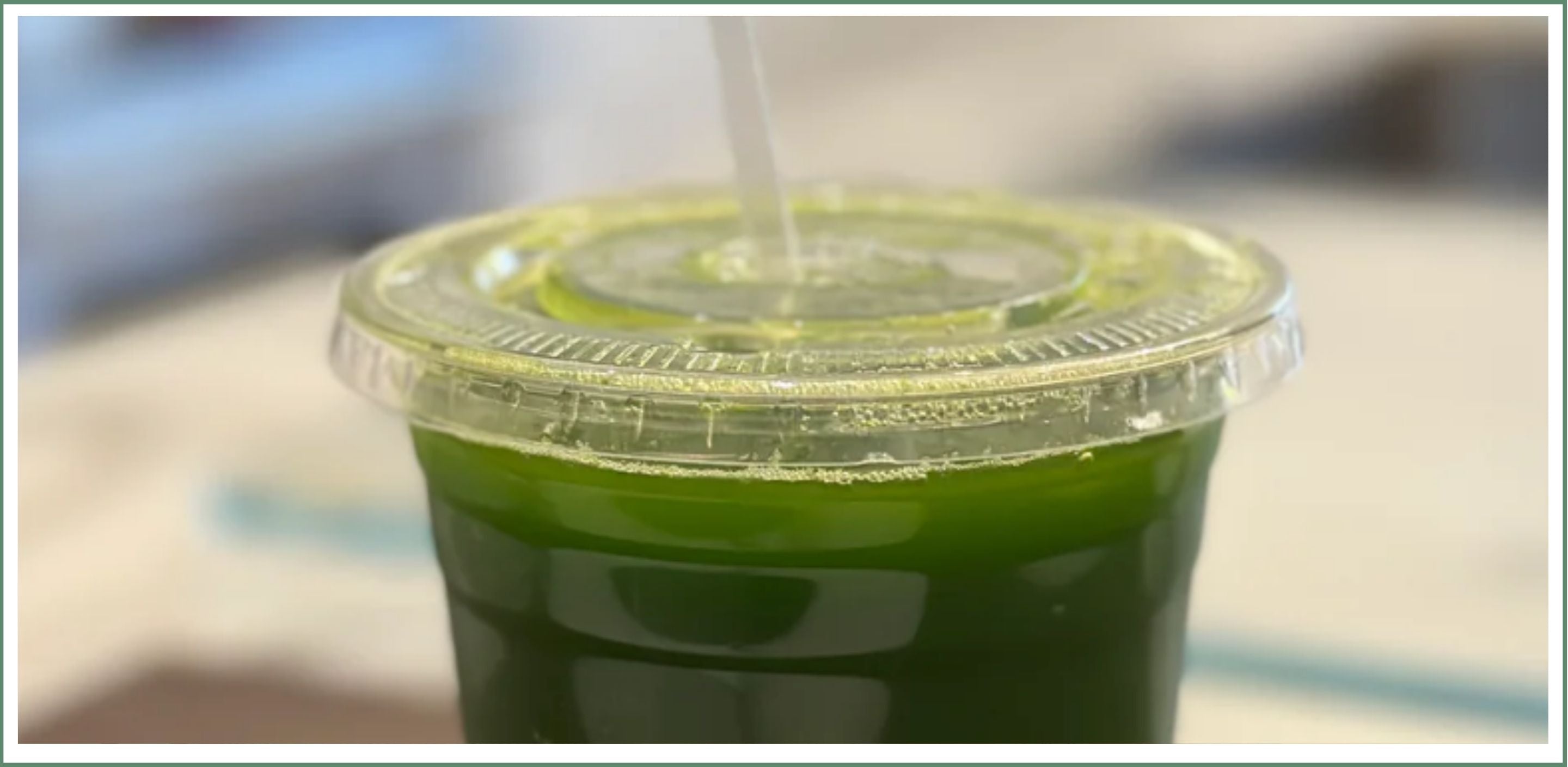 Delicious fresh Green Juice – Haley's Pantry